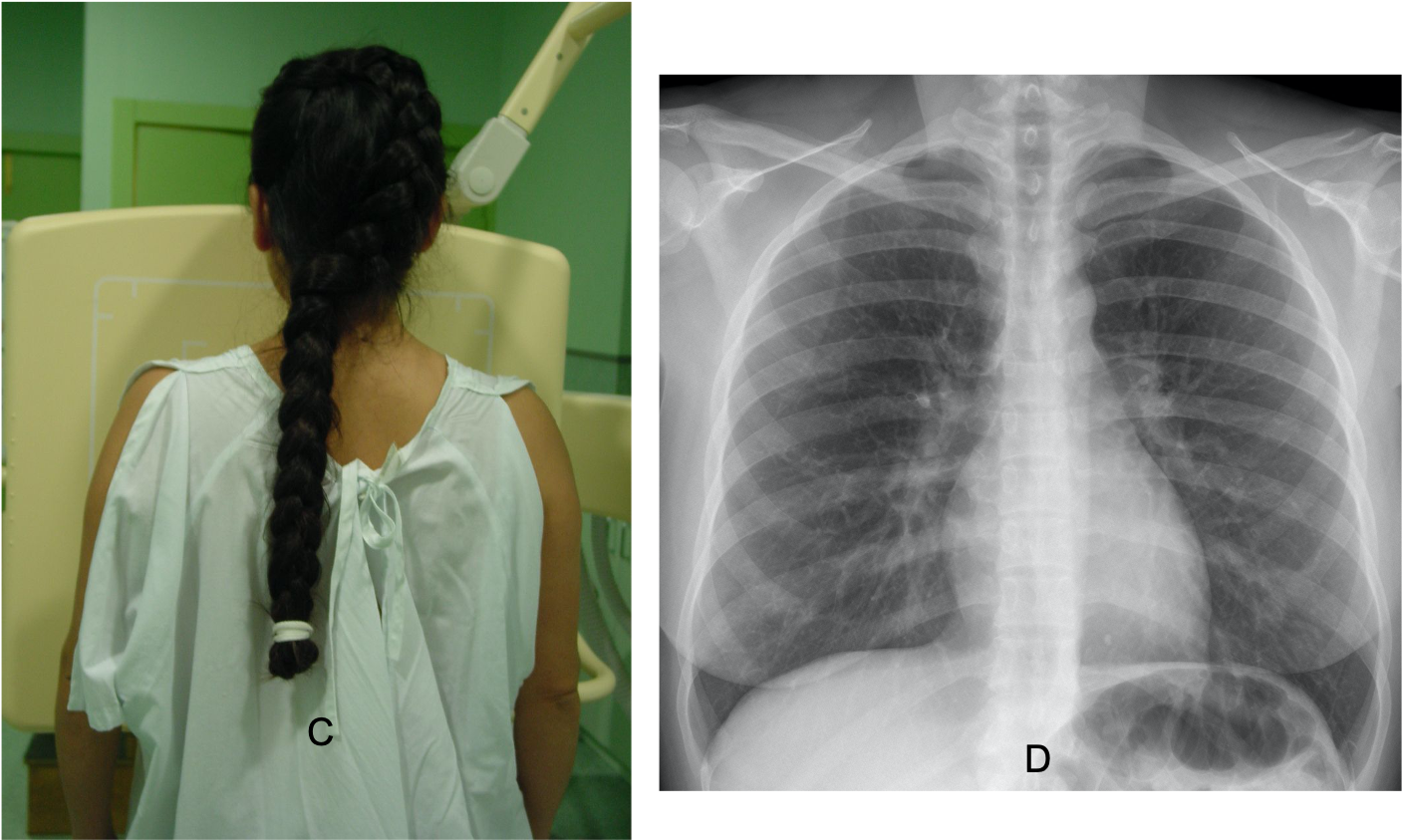 Picture 4 – European Diploma of Radiology